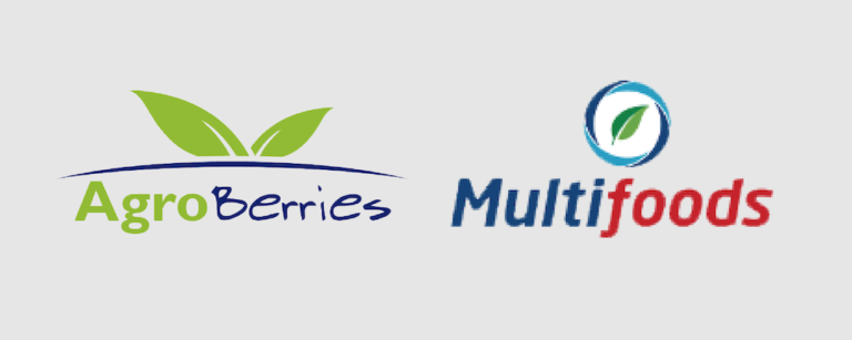 Our Business – Continental Grain Company